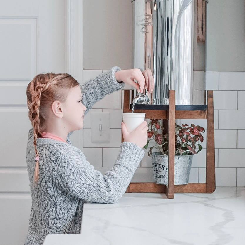 Crown Berkey Water Filter System Includes 2 Black Berkey Filters – My ...